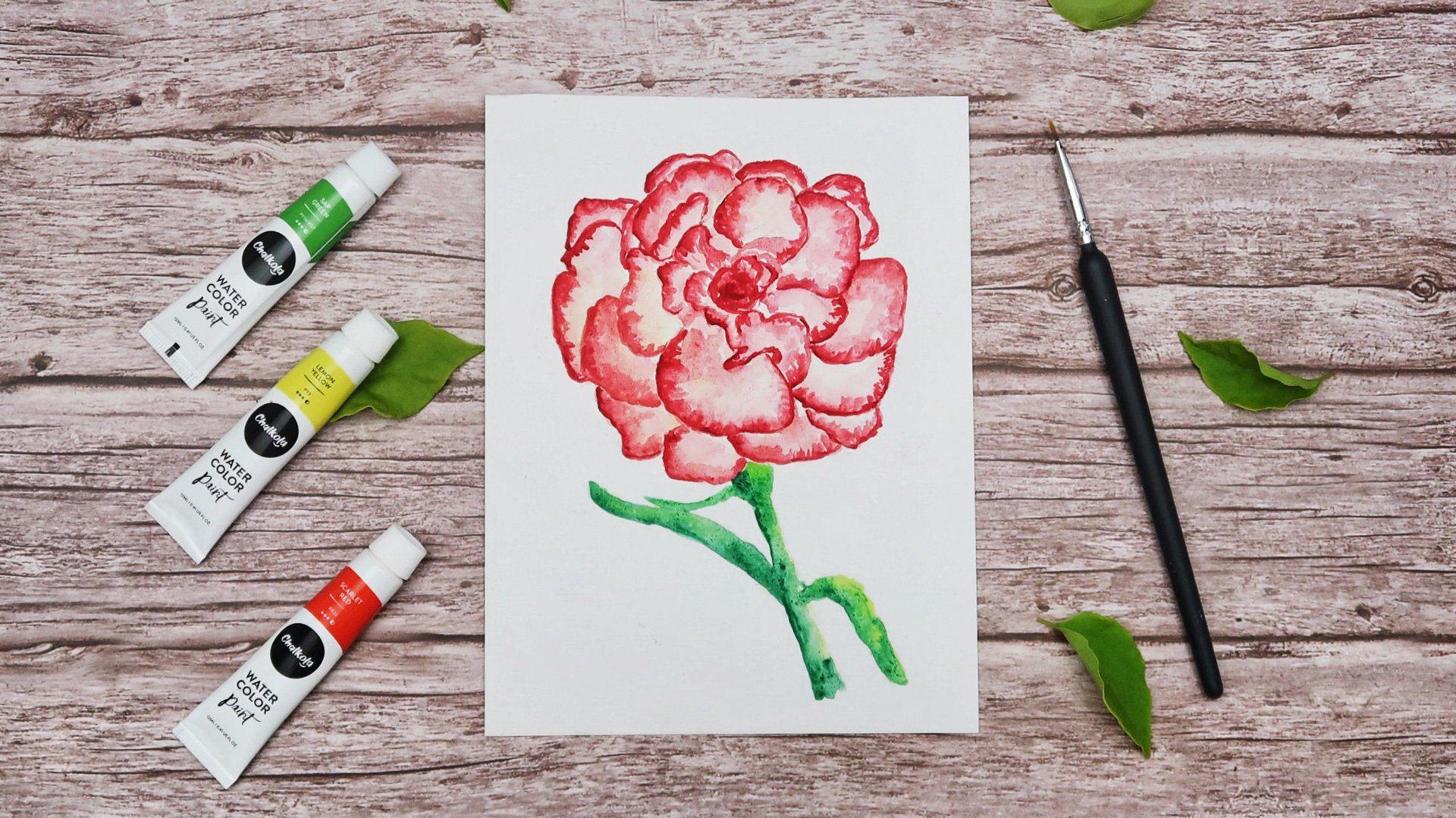 Red Carnation Flower Drawing